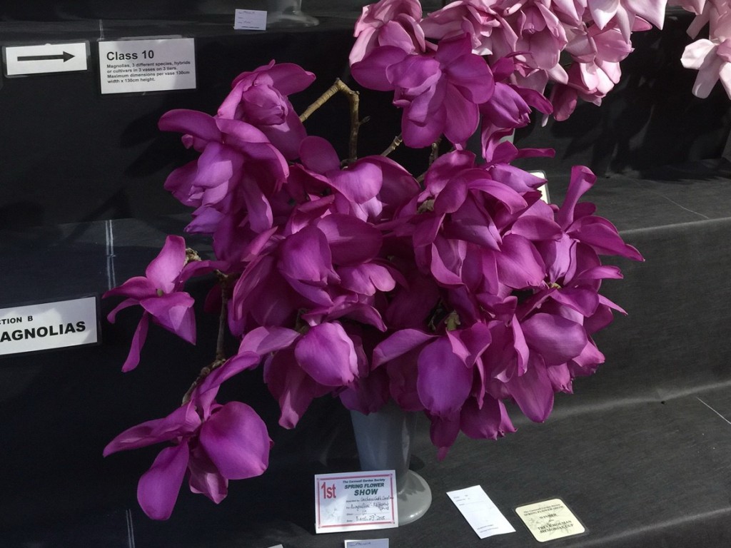 27th March | The Garden Diary