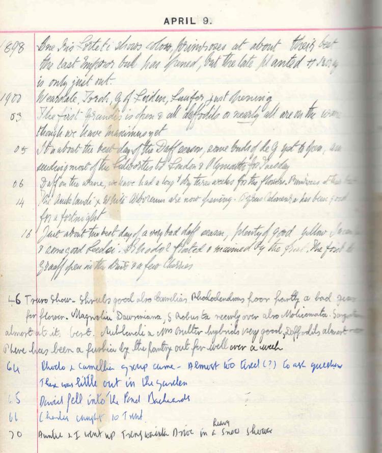 The Garden Diary | A Cornish garden diary from Caerhays Estate over 100 ...